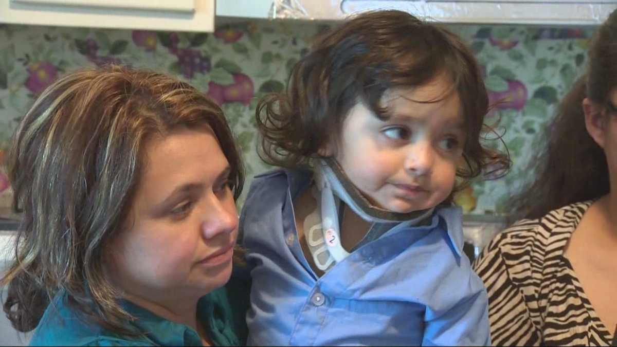 Toddler severely injured by falling tree released from hospital