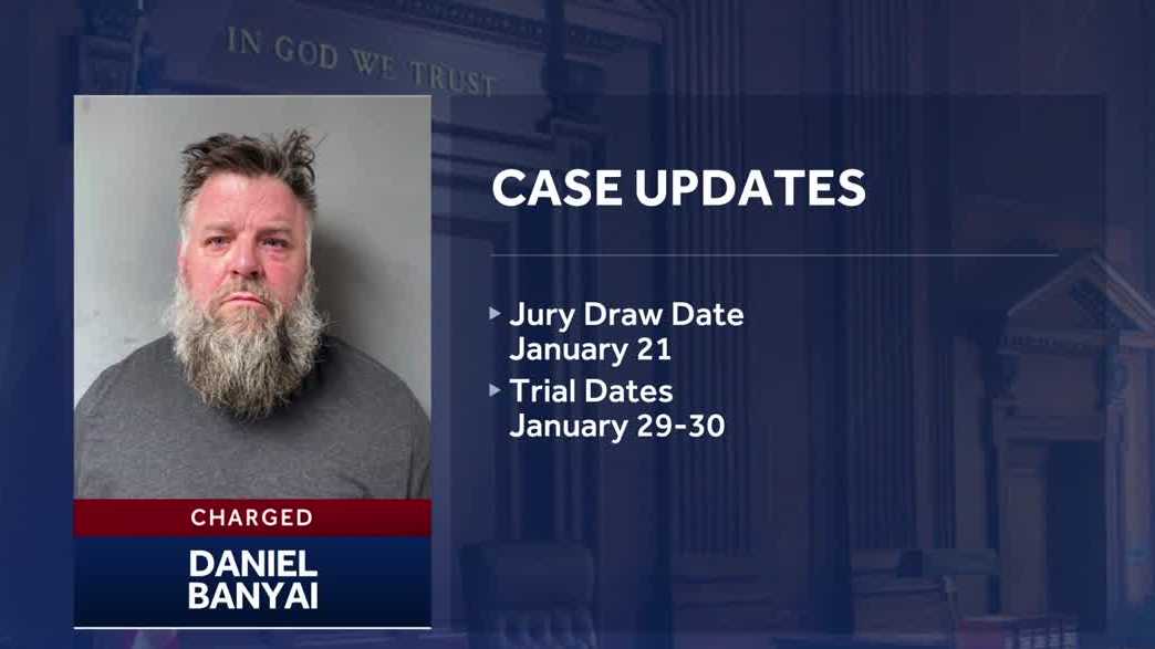 Daniel Banyai in court for pretrial hearing on aggravated assault charge