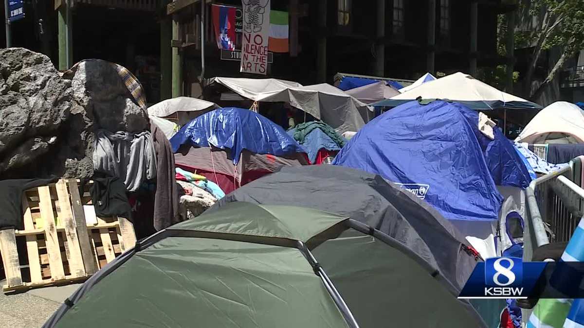 Day 5 of protest for UC Santa Cruz divestment continues