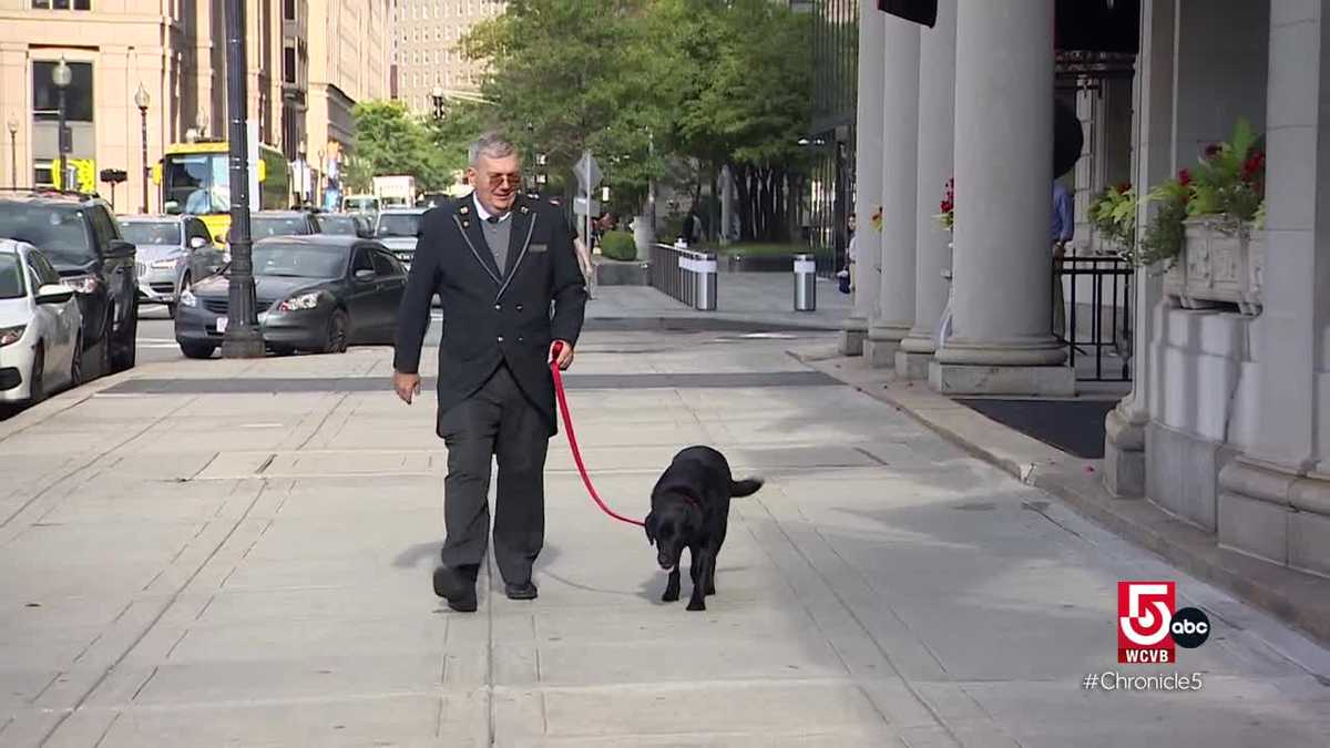 Dog influencer and canine ambassador draw growing fanbases