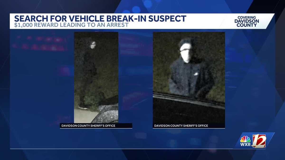 Davidson County deputies seek suspect in vehicle break-ins