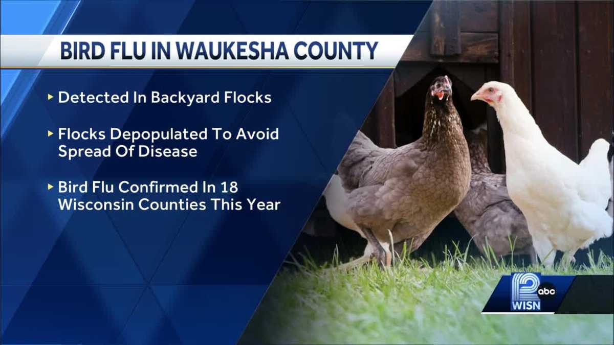Wisconsin Avian Influenza in Marathon, Waukesha counties