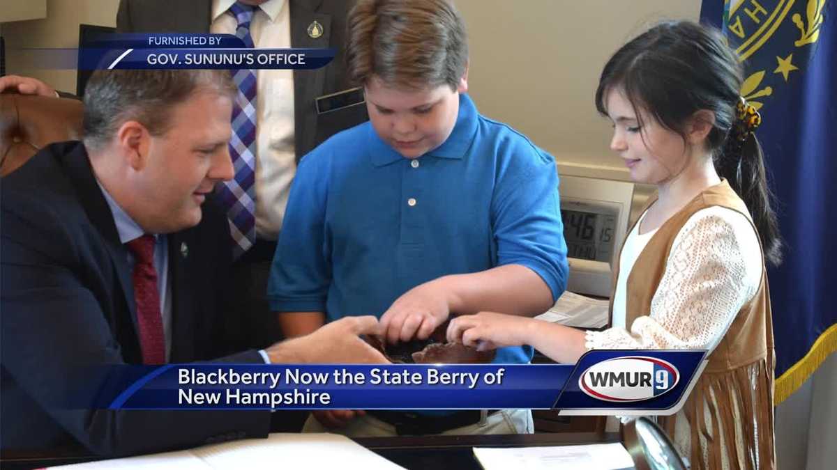 Blackberry now the state berry of NH