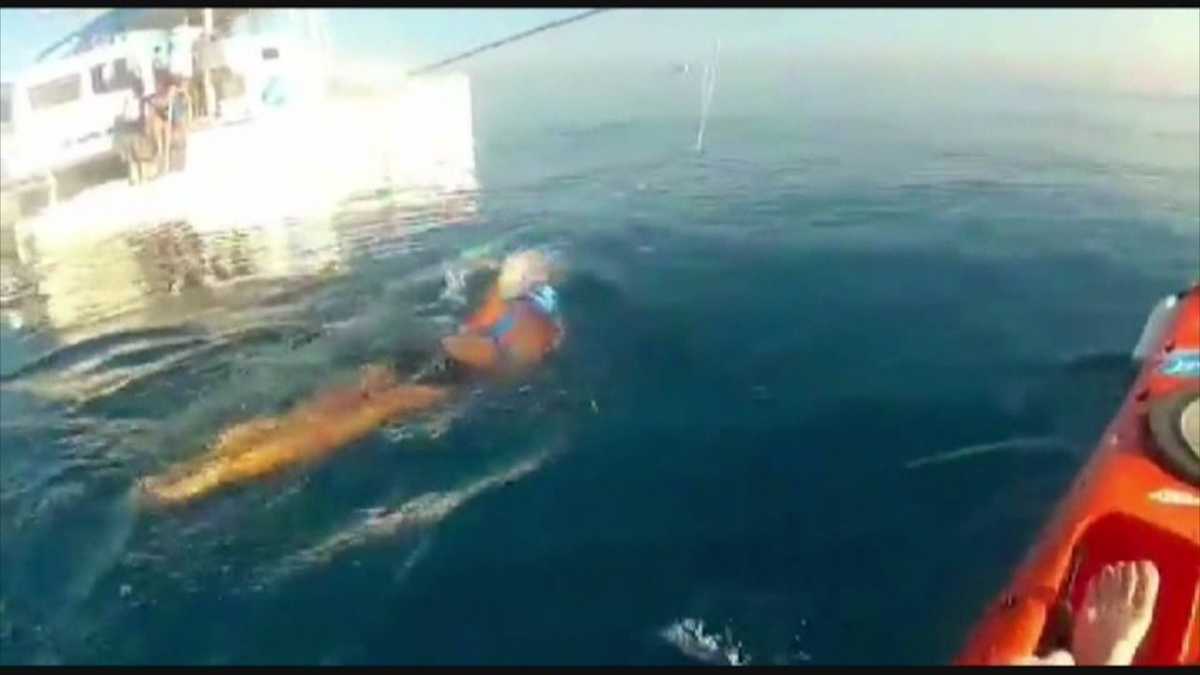 Extreme swimmer raising money for Sandy victims