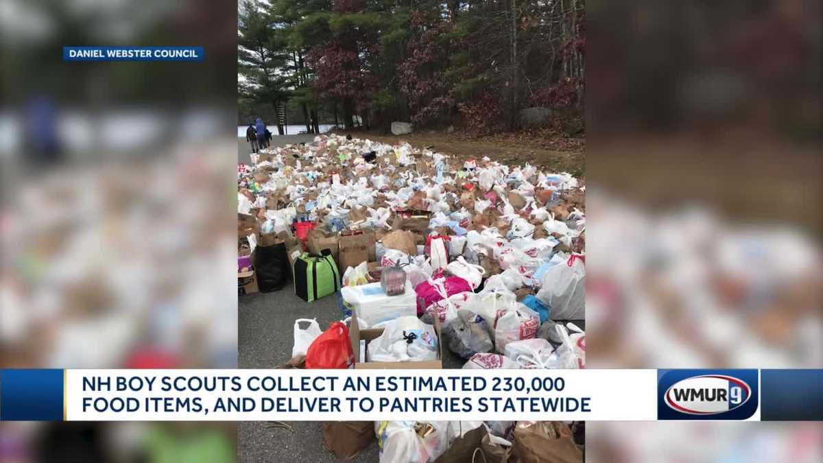 Local boy scouts hold annual Scouting for Food drive