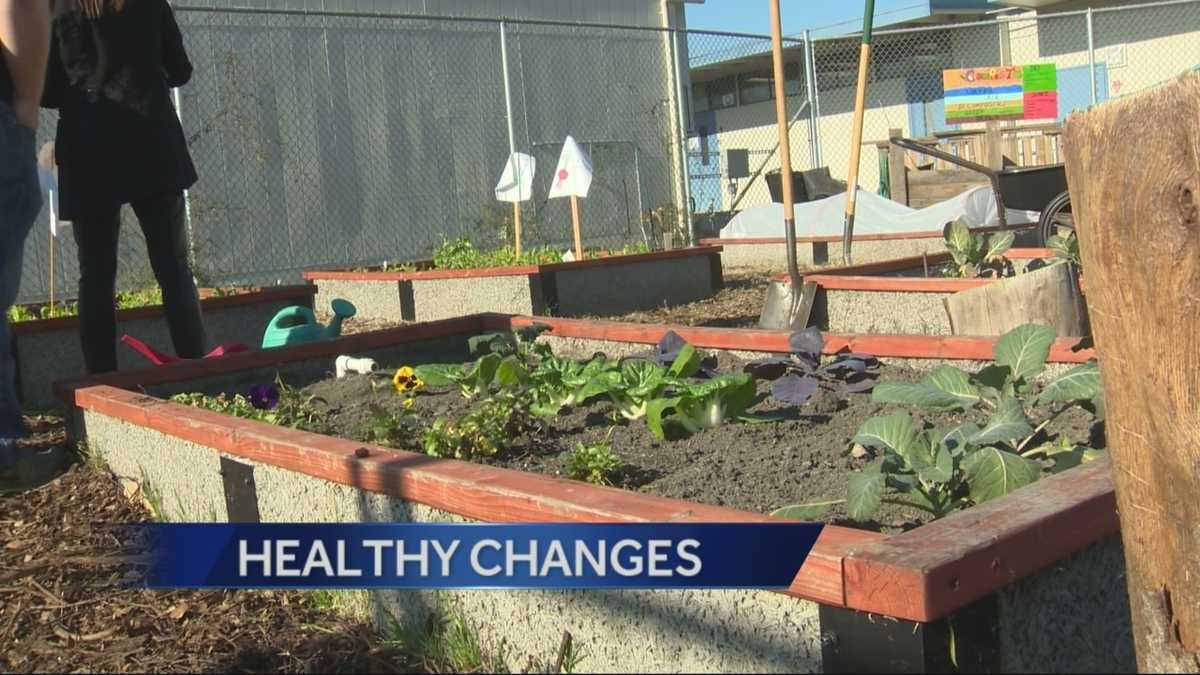 Celebrity chefs help students make healthy food choices