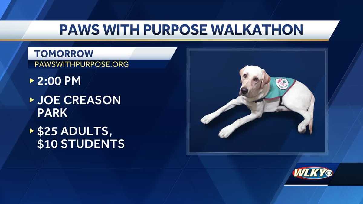 Paws With Purpose Walkathon raising money to train service dogs