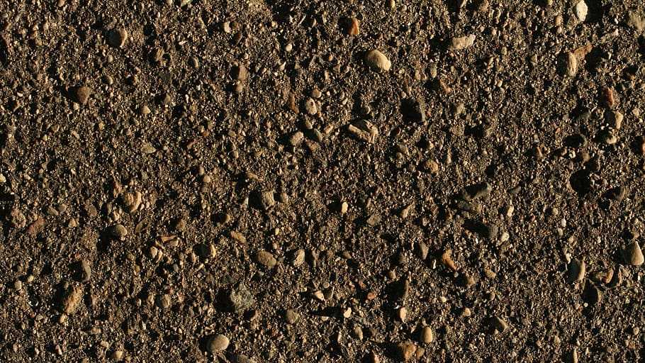 Grow it Green: Liming your soil