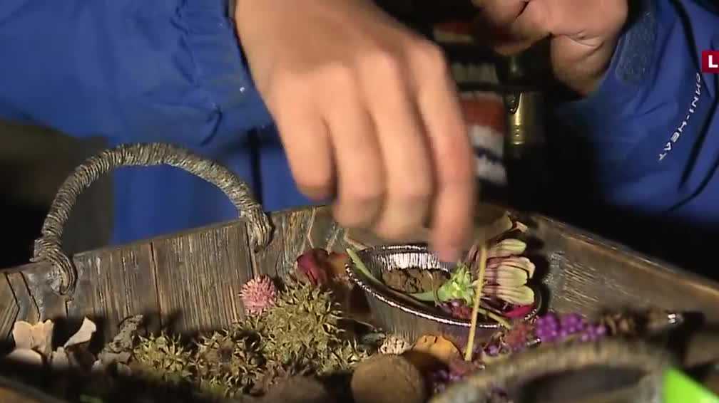 Celebrate 'ColorFest' at Bernheim Forest this weekend