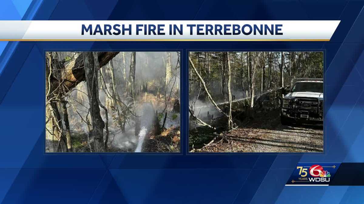 Marsh fire burning in Terrebonne Parish