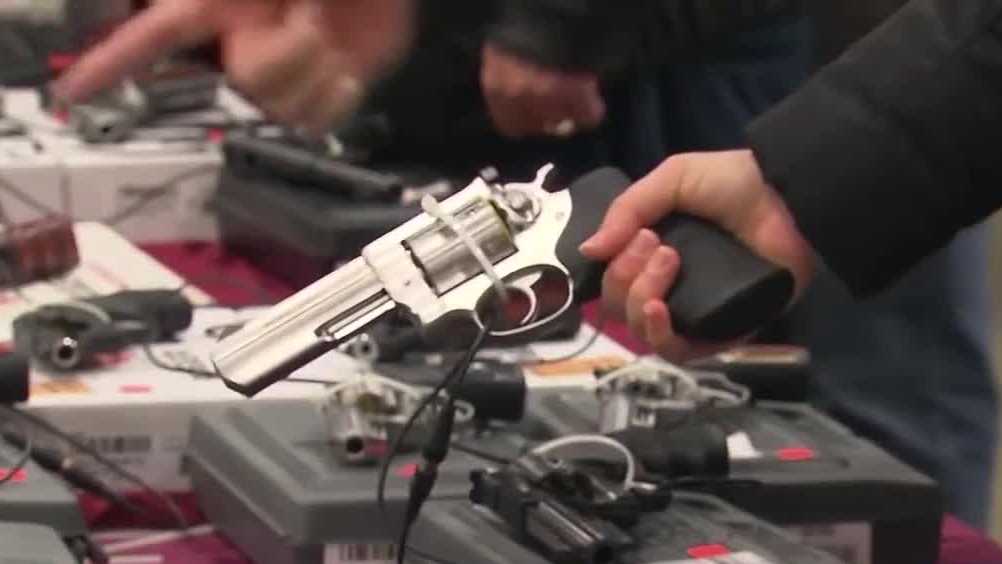 Partisan divisions remain intact due to fundamental differences on gun ...