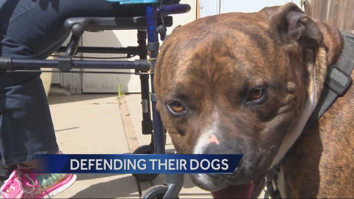 Owner of attacking pit bulls speaks out