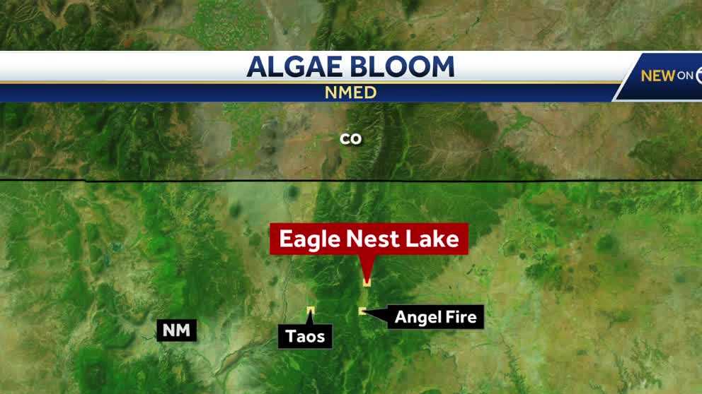 Public warning due to algae bloom in Eagle Nest Lake