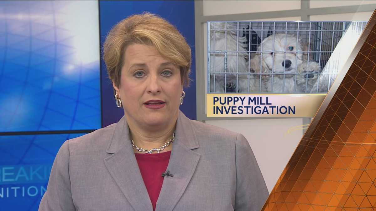 Sheriff: 150+ animals found in deplorable conditions