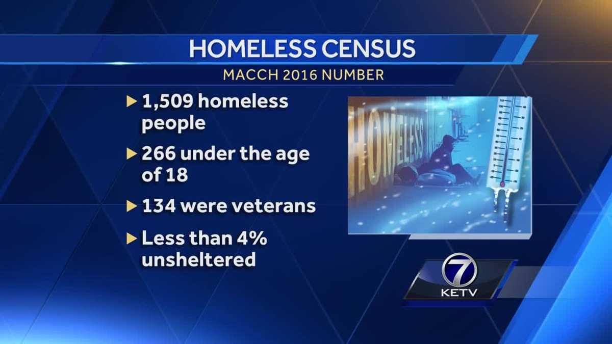 Counting the homeless