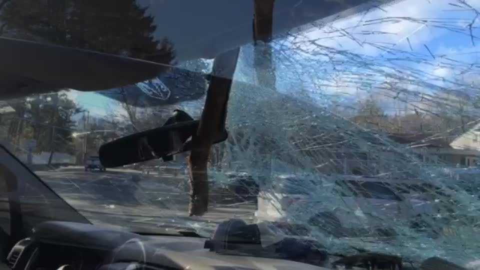 Branch crashes through car's windshield