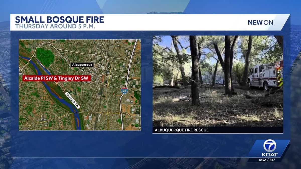 Small bosque fire contained in southwest Albuquerque
