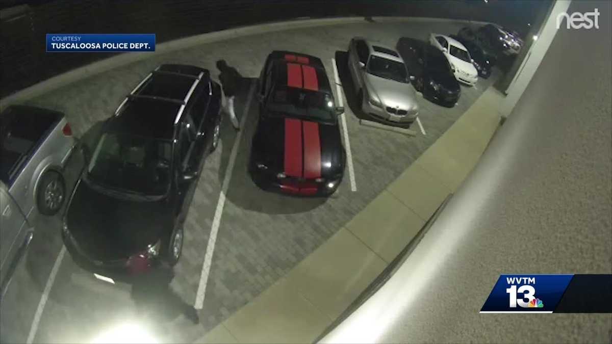 Tuscaloosa PD releases 2017 crime report