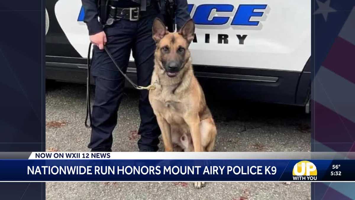 Remembering K9 Draco: Mount Airy Police dog honored in National ...