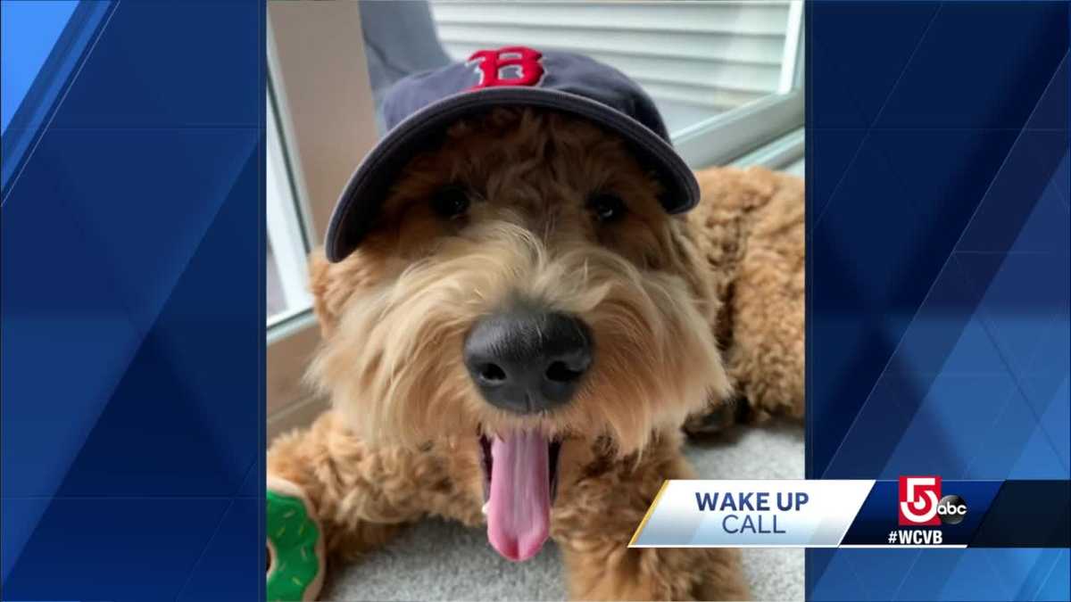 Wake Up Call: Pups dressed for opening day