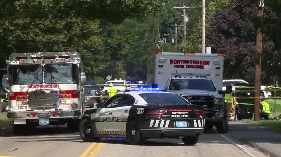 Tree worker killed when bucket hits live wires