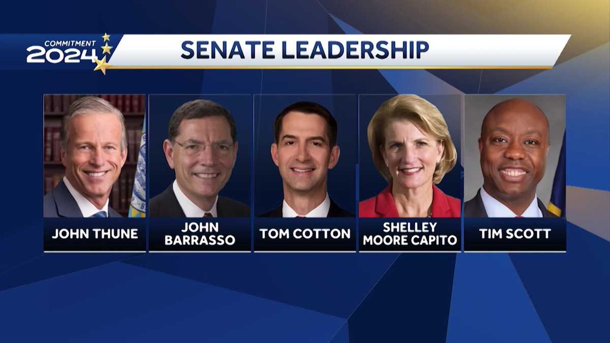Republicans elect new leadership