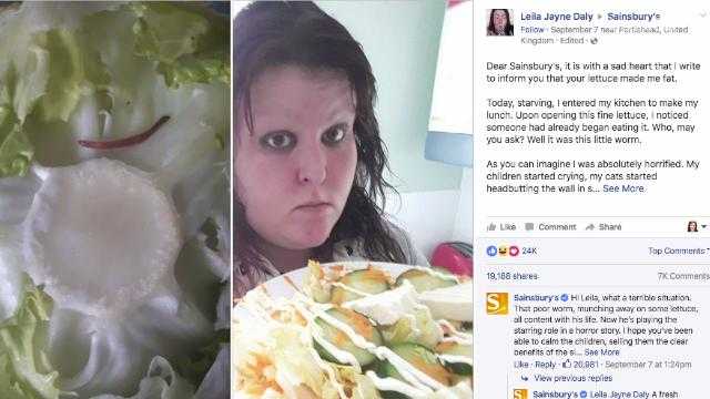 A Worm In Lettuce Becomes Viral Superstar