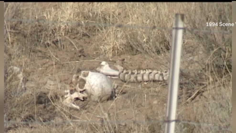 Multiple human bones found throughout Albuquerque