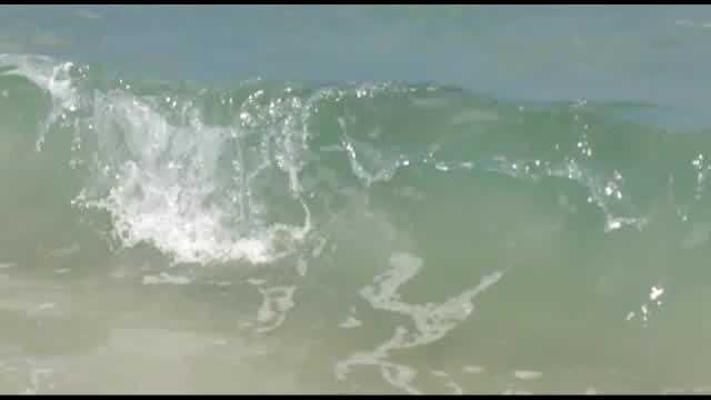 Viewer video: Sharks swim near shore on Ponce Inlet