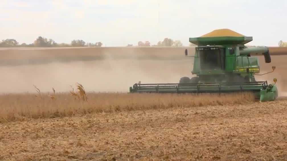 Iowa farmers criticize $20B Argentina bailout amid trade war struggles