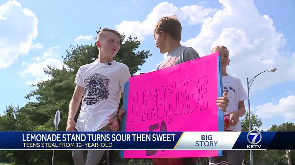 Teens steal from 12-year-old's lemonade stand