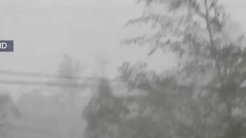Video: Strong winds travel through Enfield, NH during Monday's storm
