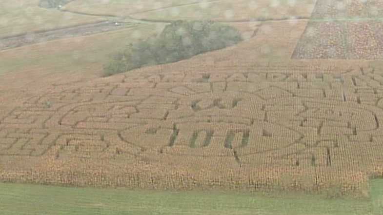 Corn maze bursting with Wisconsin pride