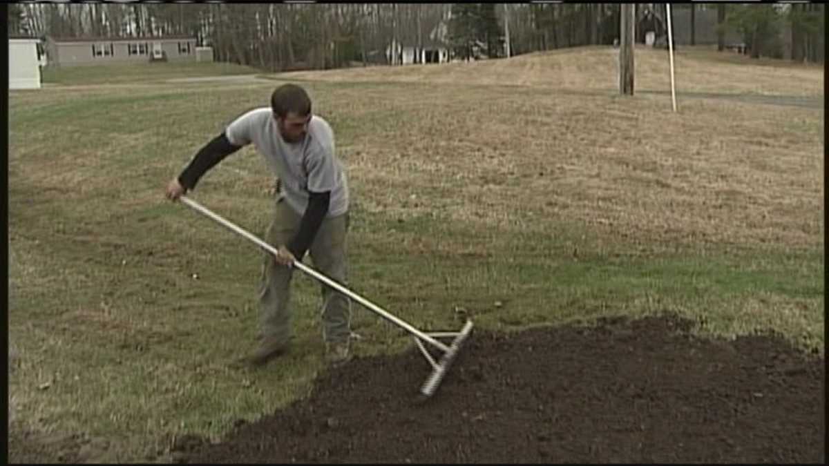 20 Ways to Enjoy Spring: Lawn reseeding