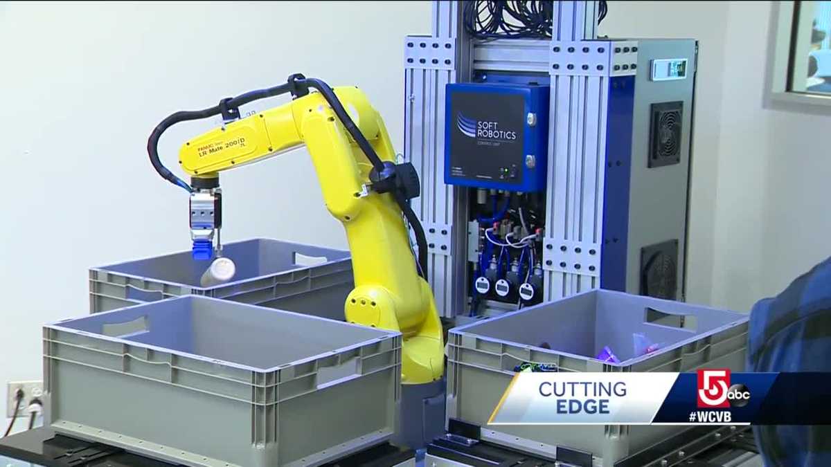 These cutting edge industrial robots bring a softer touch
