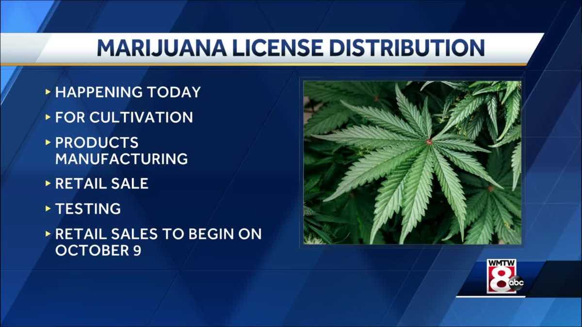 Recreational marijuana shops await licenses