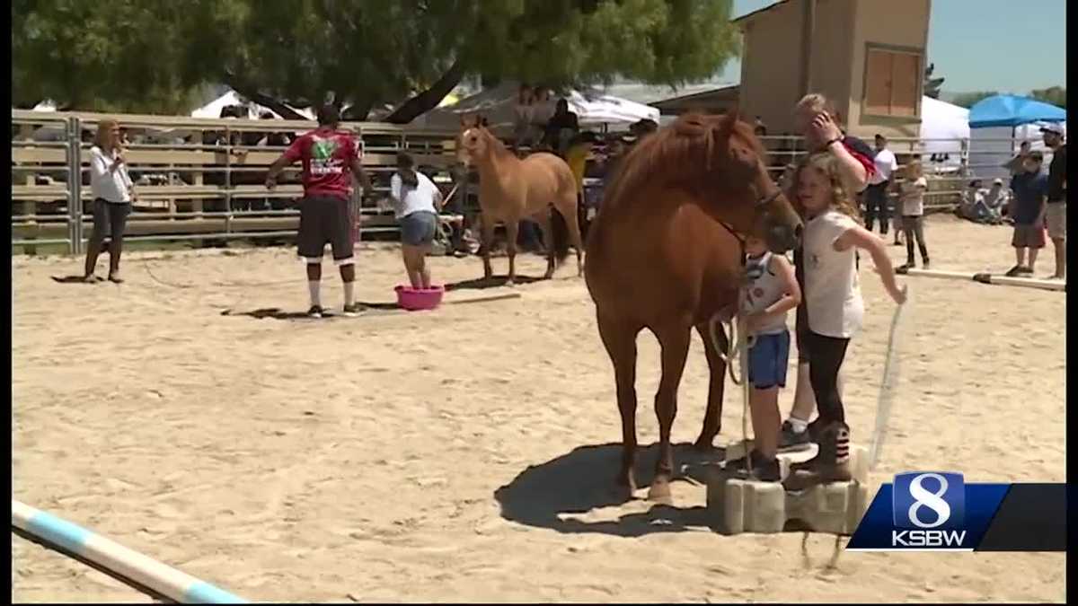 Hope, Horses and Kids hold a day of fun at the Equine Festival.