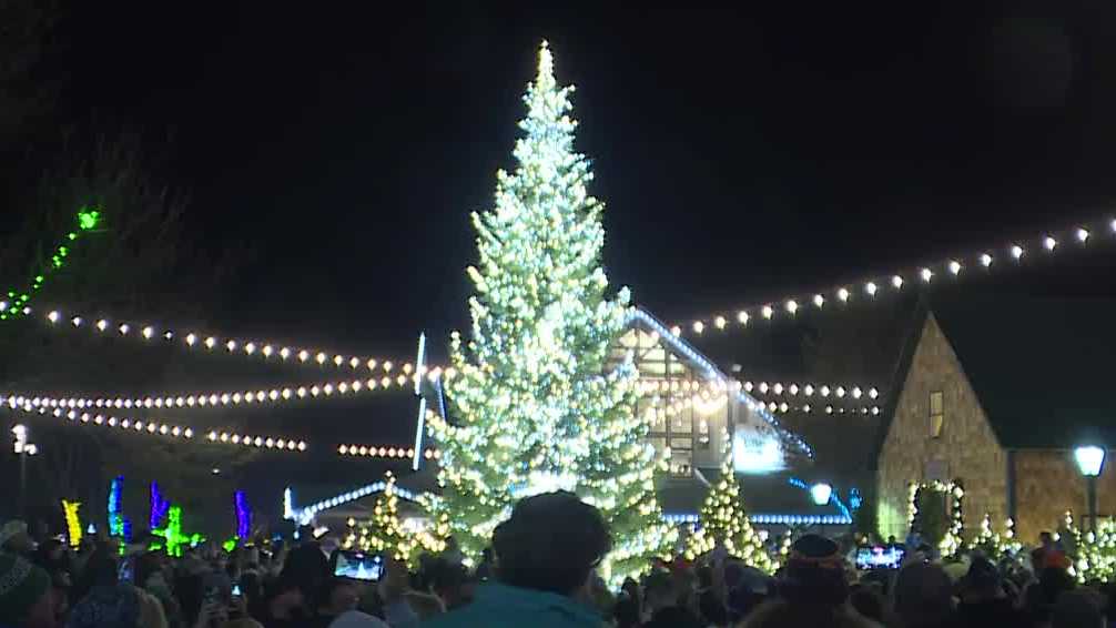 L.L. Bean kicks off annual northern lights celebration with a tree lighting