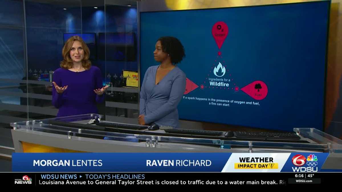 Red Flag Warning: what conditions cause a fire to get out of control