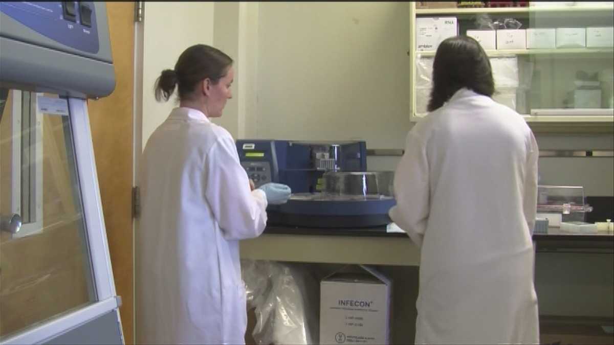VIDEO: State shows off new mosquito-testing system