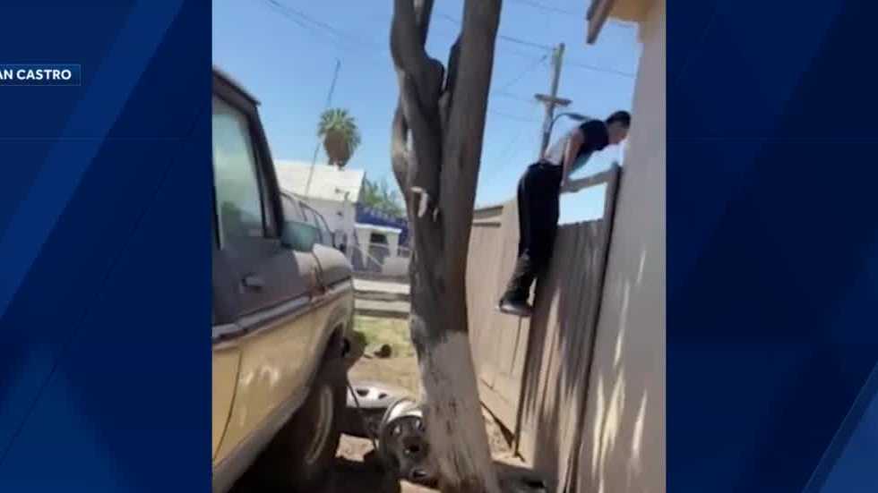 Cellphone video shows Amazon driver break into Turlock home