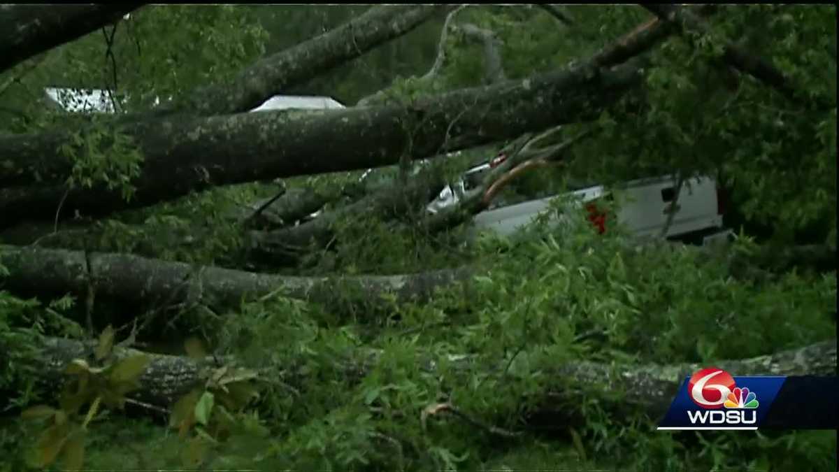 Downed trees cause storm damage in Amite Downed trees cause storm damage in Amite