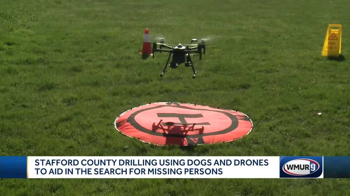 Dogs, drones join forces in search efforts