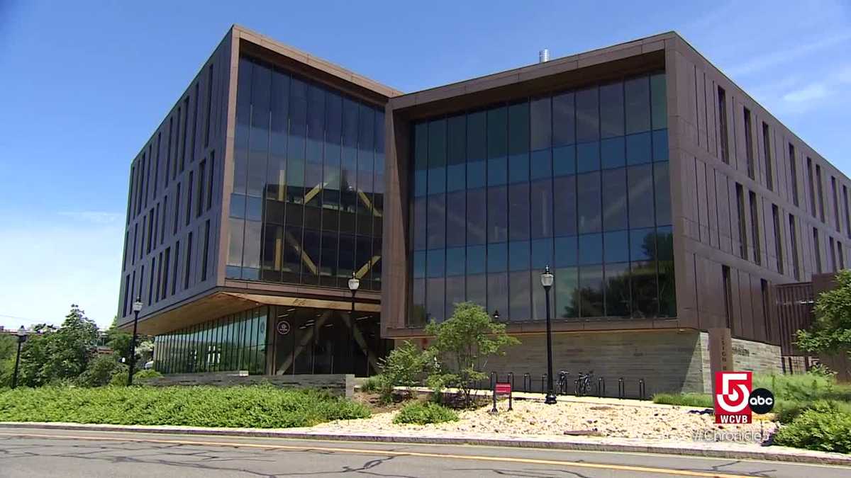 Can a building made of wood fight climate change?