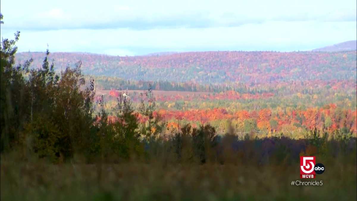 Flashback Friday: Peter Mehegan goes on the road with the old Chevy