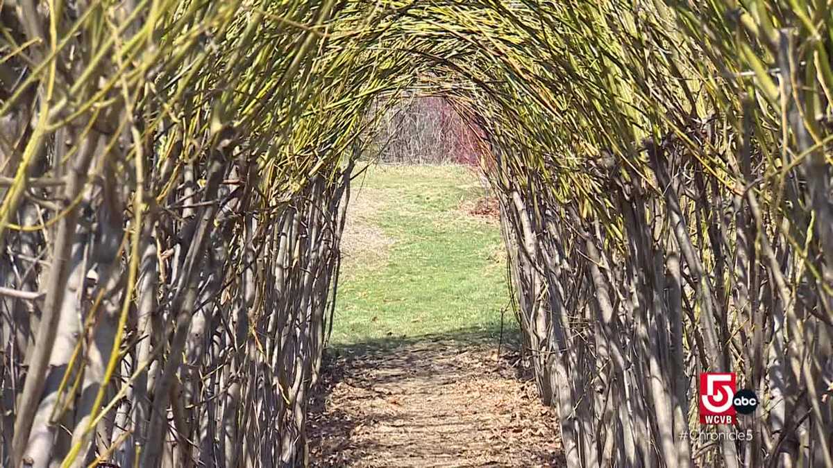 Viles Arboretum in Augusta, Maine is bursting with life