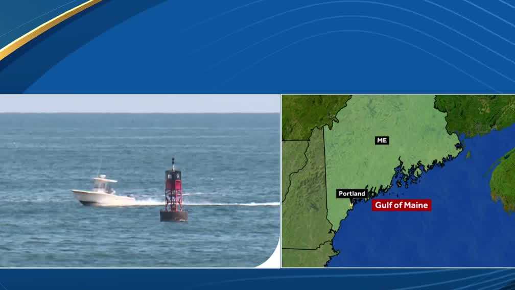 Gulf Of Maine Had One Of Its Hottest Years In 2023 