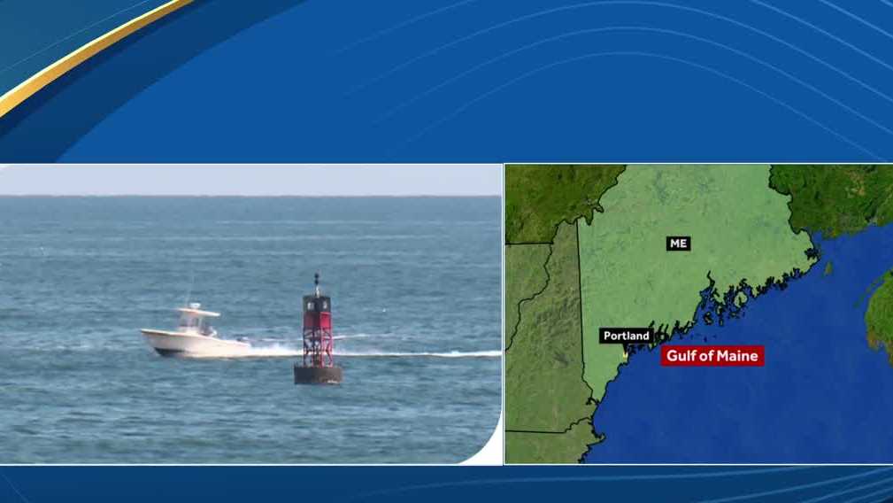 Gulf Of Maine Had One Of Its Hottest Years In 2023