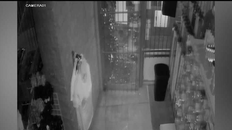 Exclusive video shows thieves ransacking businesses