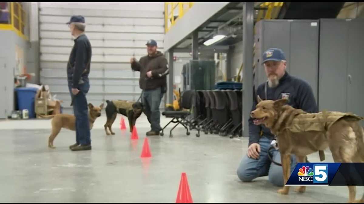 Trooper trains service dogs for those who served the country